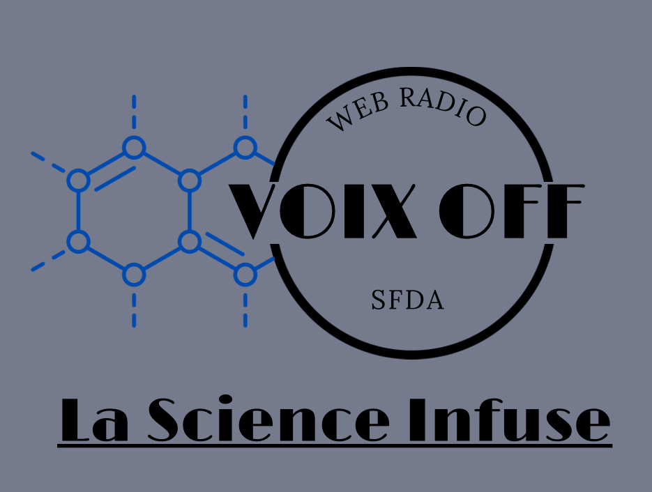 Science Infuse, Physique Chimie #2 - Les Prémices de la Physique ...